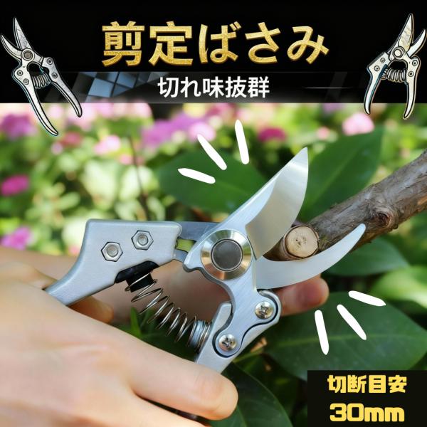 【発売日：2025年11月20日】園芸や果樹の剪定に最適な剪定ばさみです商品説明◆ 剪定ばさみ ・ 剪定バサミ ・ 剪定鋏 として、 園芸 ・ ガーデニング ・ 果樹 ・ 造園 など幅広い用途に対応した高性能な 枝切りバサミ です。◆ 刃に...
