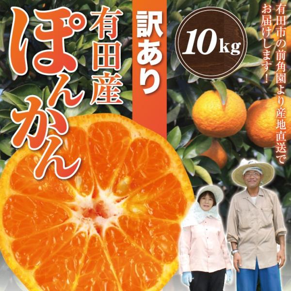 【商品】有田市の訳ありポンカン【内容】10.0kg入 (風袋込み)【賞味期限】生ものですので、お早目にお召し上がりください。【保存方法】冷暗所【原材料】ポンカン【産地】紀州和歌山産【品質管理】当店では品質管理に万全を期すため人手をかけ みか...