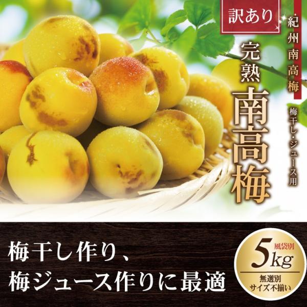 【商品】紀州和歌山産の朝採れ南高梅（完熟青梅）【内容】風袋別 5.0kg【サイズ】サイズ不揃い（M〜3L）【配送方法】クール便【賞味期限】お早目にお召し上がり下さい【保存方法】冷蔵【原材料】青梅【産地】紀州和歌山産※商品は自然のものになりま...