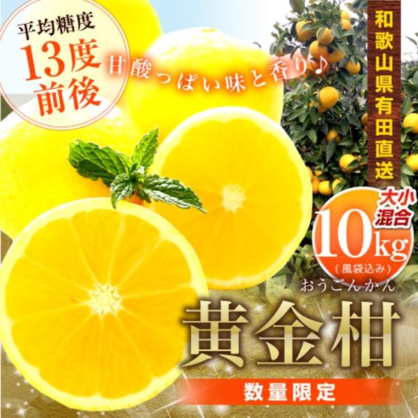 【商品】黄金柑（おうごんかん）【内容量】10kg【賞味期限】生ものですので、お早目にお召し上がりください。【保存方法】冷暗所【原材料】みかん【産地】和歌山県産