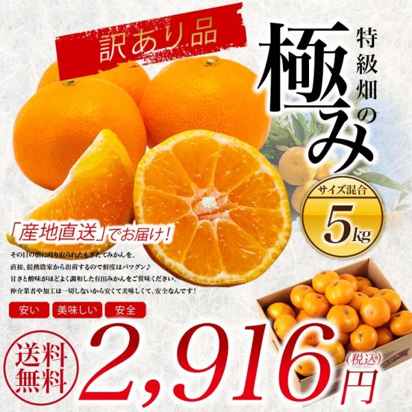【商品】訳あり 極み有田みかん　　　　　　　　　　　　【内容】5.0kg (風袋込み)　　　　　　　　　　　　【産地】和歌山県 有田産　　　　　　　　　　　　【品質管理】当店では品質管理に万全を期すため、人手をかけみかんを一つ一つ箱詰めして...
