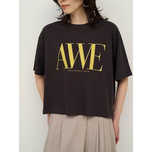 存在感のある「AWE」ロゴが目を惹くやや短めのプリントT。程よくゆとりのあるシルエットで、短丈なのでインせずにコーディネートが決まりやすい。ワイドパンツやスカートとも高相性。カジュアルになりすぎず、きれいめスタイルにも自然に馴染む１枚。日常...