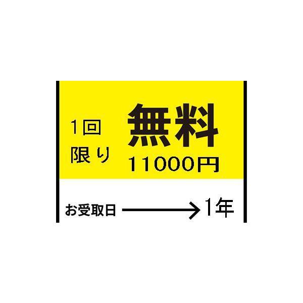 レンズについてのロング補償となります。高額なレンズでも保証中（1年間）はキズ、破損なども含めて交換できます★ご注意★・お客様に到着後有効期限は１年間となります・再延長はありません・１年間に１度のみ交換対応致します。・フレームを保証するもので...