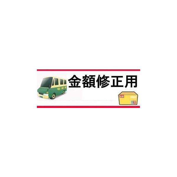 金額修正用★11000円