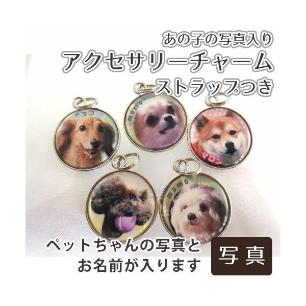 ペットちゃんのご遺影チャーム、アクセサリーです。お名前が入りますので、迷子札としてもご利用いただけます。◎表面にあの子のお写真とお名前が入ります。●本体仕様本体幅：20mm太さ：15mmクサリサイズ：長さ60mmニッケルメッキ仕様●携帯スト...