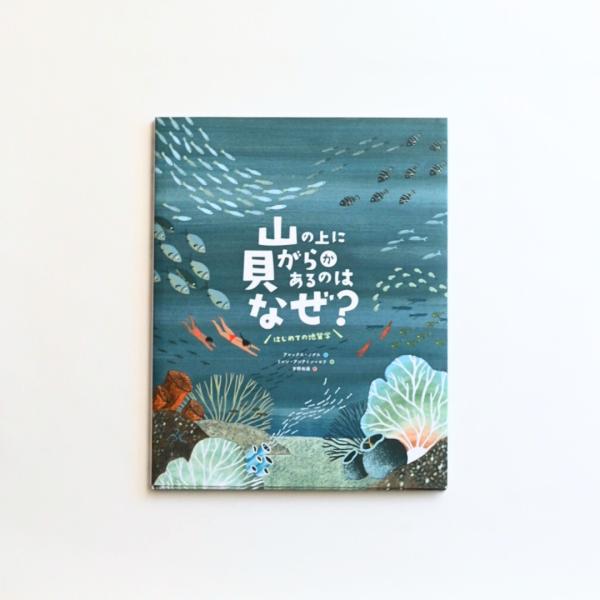 岩山で見つけた貝がらの化石。どうしてこんなところに海のカキが？地層と化石がもの語る地球の歴史、動きつづける大地のダイナミズム。じぶんたちが生きるこの大地の成り立ちや歴史、岩石や地層、自然への興味をかきたててくれます。ゆたかな表現で子どもたち...