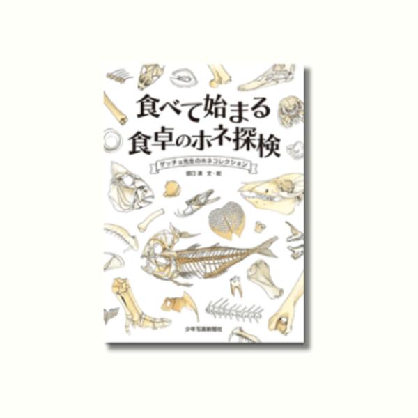 肉や魚を食べたら残ったホネを集めてみよう。おもしろい形。どこの部分?つくりがすごい!これもホネ?謎と感動がいっぱいです。“ごちそうさま”のあとに、食べ終えた肉や魚のホネをていねいに集めてつなげてみると、食べ物となった動物の姿が見えてきます。...