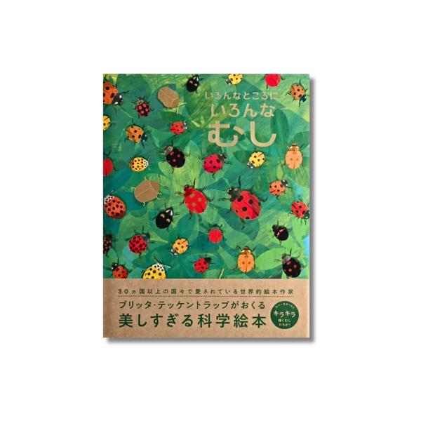 美しすぎる科学絵本シリーズ、There are ・・・の”昆虫”編。むしってこんなに美しいの！むしってどんな生きもの？　どこに住んでいるの？　どんなくらしなの？どんなふしぎなむしがいるの？　身を守るためにはどんな工夫をしているの？ひととむし...