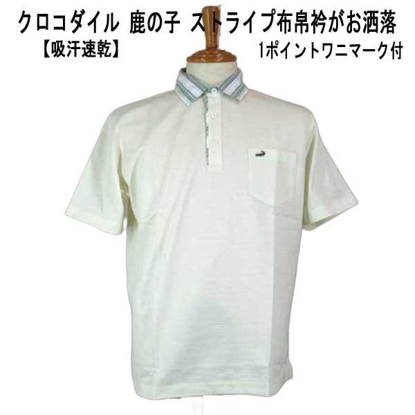 商品番号 1602-00512-1メーカー希望小売価格 本体価格 6,000円＋税