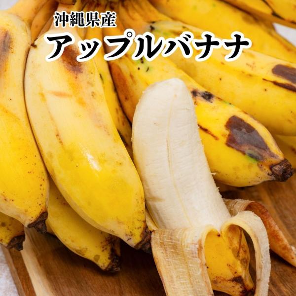 沖縄 バナナ 国産 アップルパナナ 5ｋｇ