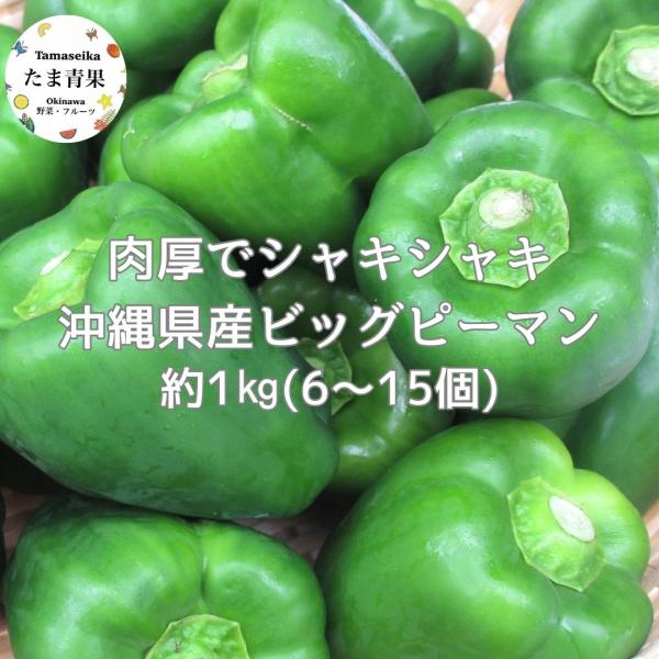 沖縄のピーマンは、肉厚で濃い緑色が特徴です。ビタミンCを豊富に含み、ピーマン1個で１日の所要量の4分の１が摂取できます。また、カロテンやっ鉄分も多く含み、油と一緒に調理すると、カロテンの吸収がさらによくなります。ビッグピーマンは大きさのもの...