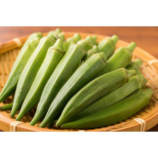 沖縄県産のオクラです。丸・角、お任せで発送します。島野菜の定番食材、茹でて、焼いて、煮ても！季節の野菜、旬の野菜を味わってみてください。