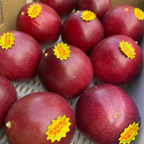 パッションフルーツ（優品）１箱（8〜12玉入り）　南国のトロピカルフルーツ 数日間追熟させて表面がシワシワとしてきたら食べ頃です！酸味が好きな方は追熟させずにそのまま食べてもOK！お酒やカクテル、ヨーグルトに混ぜても美味しいですよ！酸味が強...