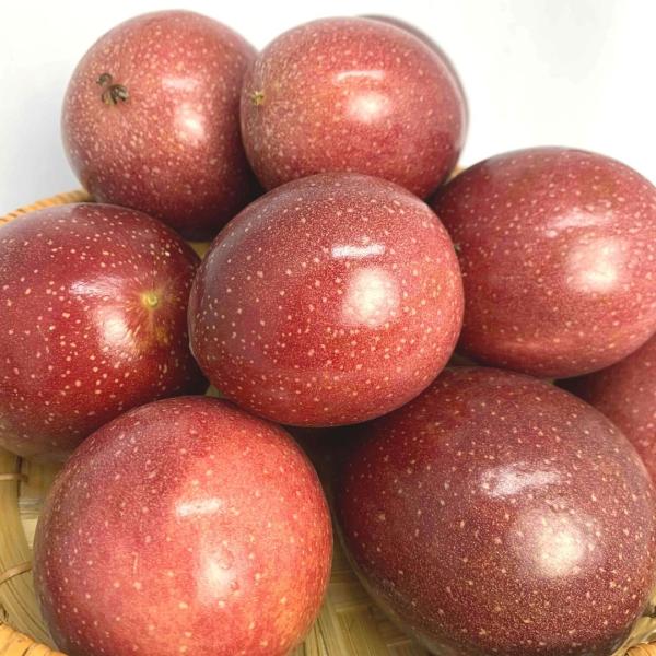 パッションフルーツ（家庭用/バラ）約1kg　南国のトロピカルフルーツ 数日間追熟させて表面がシワシワとしてきたら食べ頃です！酸味が好きな方は追熟させずにそのまま食べてもOK！お酒やカクテル、ヨーグルトに混ぜても美味しいですよ！酸味が強く、種...