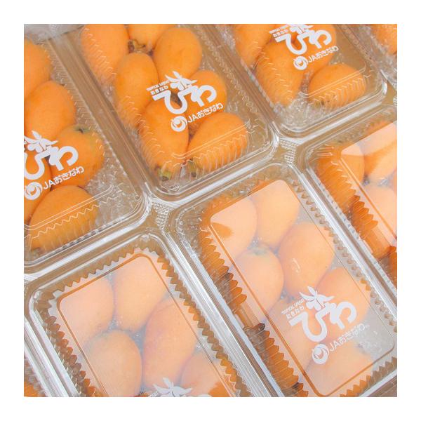 【先行ご予約受付中】初夏の訪れを感じさせるフルーツ。じめじめした時期に橙色に光る甘みたっぷりの果実【ビワ】です！幼少の頃は近所になっていたので、よくもぎ取って学校帰りのおやつとして食べていた思い出です！食べだしてしまうと止まらなくなる、あの...