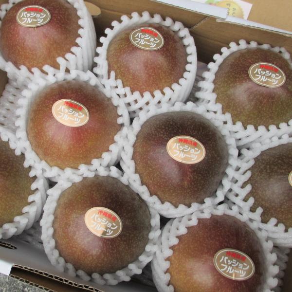 贈り物にも最適！【秀品】沖縄県産パッションフルーツ1kg（ 8〜12個入）×３箱　南国のトロピカルフルーツ　毎年クリスマス前に市場に出てくる果物です！表面がシワシワとしてきたら食べ頃です！そのまま食べても、お酒やカクテル、ヨーグルトに混ぜて...