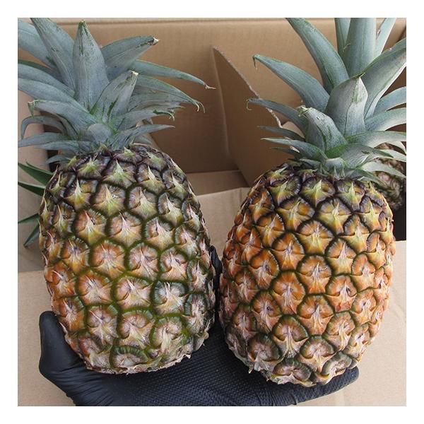 甘さがふんだんに詰まっている桃の香りがほんのり香るパインです！ピーチパインとは、パイナップル科のソフトタッチ種の事で、平成９年度より沖縄で栽培された沖縄生まれの新品種です。ピーチパインの特徴としては、一般のパイナップル）と比べるとやや小振り...