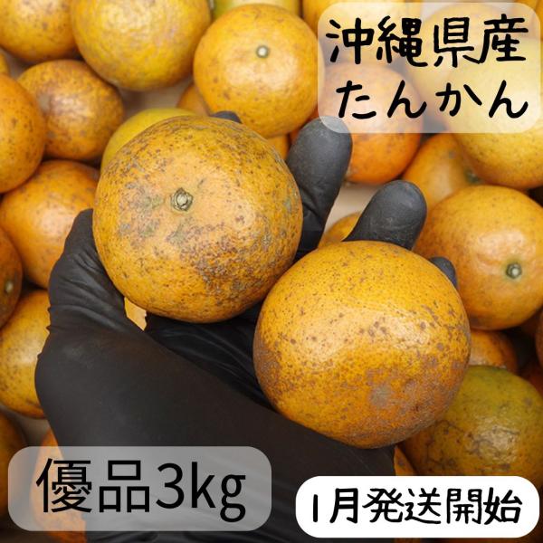 柑橘の王様とも呼ばれる、桶柑（タンカン）は、柑橘類の中でも最も糖度が高い、亜熱帯の島・沖縄を代表する冬の天然スイーツです。お歳暮やお年賀などの贈答用にも最適です。■■要確認■■この商品は早期予約販売商品です。商品の出荷は、1月中旬より開始と...