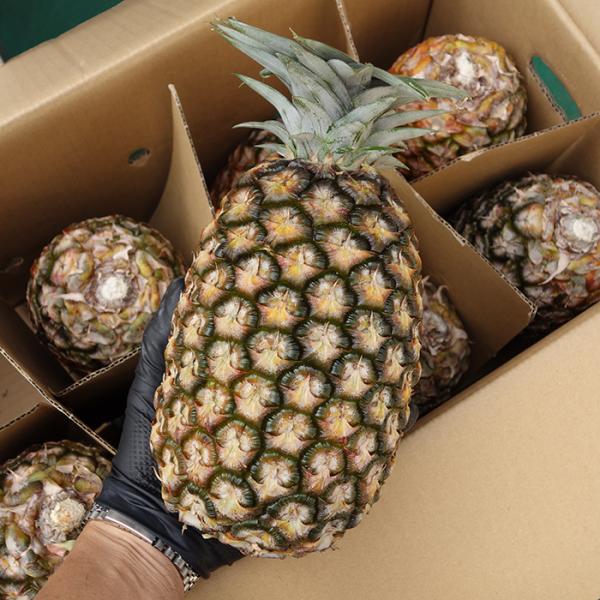 この時期の島パインは甘いだけでなく酸味もしっかりあり、甘酸っぱい物が好きな方に特におすすめです。■品名：島パイン■生産地：沖縄県産■内容量：約３kg（2〜3玉入）■■要確認■■自然のものですので雨や台風による天候の変化や品不足など品質維持が...