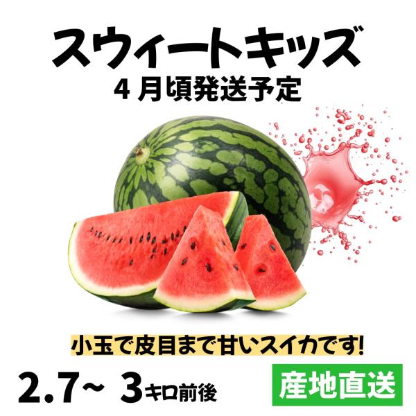スウィートキッズとは、、 鮮紅色の果肉、高糖度で肉質はしまり、大玉すいかに近いシャリ感が特徴の小玉すいかです。果皮は2mm前後と薄いが、硬めで皮目まで甘くて最後まで美味しいスイカです。