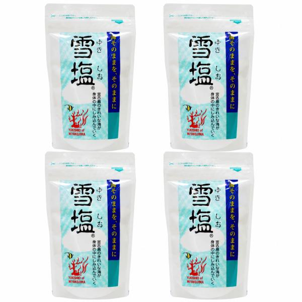 【発売日：2024年09月08日】サンゴ礁が隆起してできたと言われている宮古島。 「雪塩」は島の海水を原料としています。 ゆっくりと時間をかけ、サンゴ石灰岩を浸透ろ過してきた海水を濃縮しパウダー状に仕上げました。 甘みを感じるまろやかな味が...