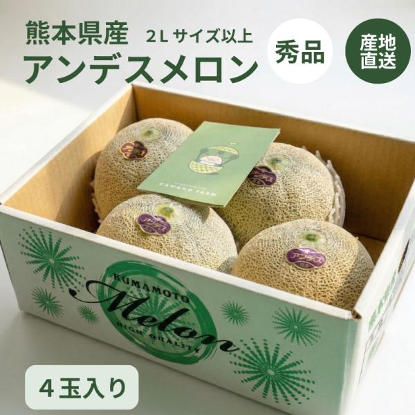 [河野FARM]熊本県産『アンデスメロン』です。◆アンデスメロンとは◆アンデスメロンは、甘さ・香り・果汁感のバランスに優れたネット系メロンです。果肉はなめらかでジューシー、クセがなく食べやすい味わいが特長で、食べ進めるほどに心地よい甘さが広...