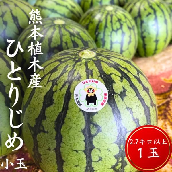 [岩本農園]スイカの名産地　熊本県植木町より大人気品種 ひとりじめを産地直送にてお届け◆ひとりじめとは◆ひとりじめスイカは、小玉サイズながらも大玉に負けない甘さとシャリ感を持つ人気のスイカ品種です。皮が薄く可食部が多いため、無駄なく楽しめる...
