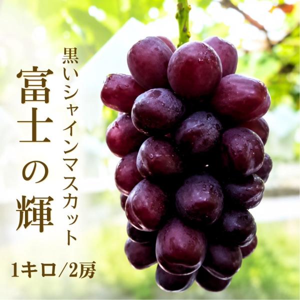 【発売日：2026年08月10日】熊本県宇城市「清水果樹園」"富士の輝"（ブラックシャインマスカット）黒いシャインマスカットと称され、その味わいはまさにその名の通り輝かしいものがあります。ウインクとシャインマスカットの子品種です。その最大の...
