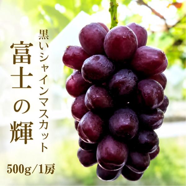 【発売日：2026年08月10日】熊本県宇城市「清水果樹園」"富士の輝"（ブラックシャインマスカット）黒いシャインマスカットと称され、その味わいはまさにその名の通り輝かしいものがあります。ウインクとシャインマスカットの子品種です。その最大の...
