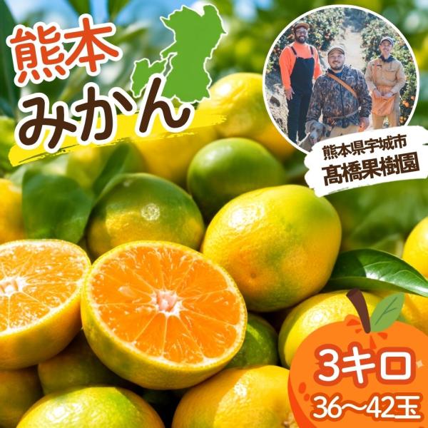 熊本県宇城市【高橋果樹園】のみかんを農園直送にてお届け 熊本県宇城市は自然豊富で山の斜面は日光が良く当たり、不知火海からの潮風を受ける事で甘みが凝縮される美味しい柑橘類が育つ場所として地元でも知られています。9〜11月販売の極早生みかんは、...