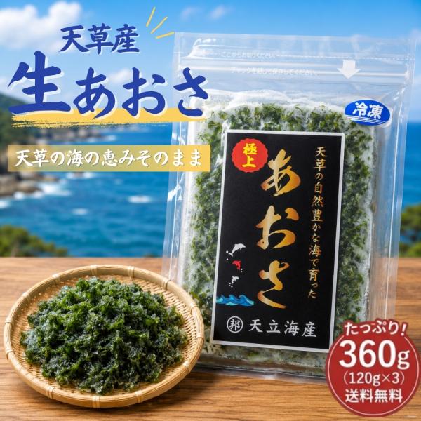 熊本県天草市新和町の自然豊かな海で育った【あおさ】を生の状態で冷凍しました。【あおさ】は、海藻の一種で、標準和名を「ヒトエグサ」といいます。ミネラルやビタミン類を豊富に含み、美容と健康維持にぴったりの食品です。保存がきくので、凍ったままザク...