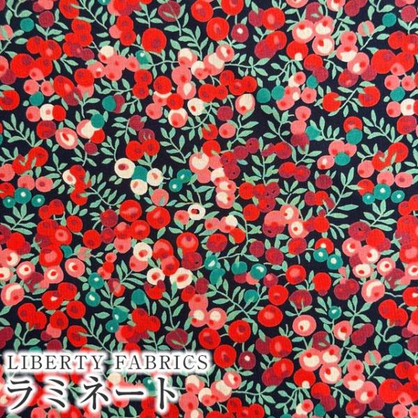 ※最低30cmから10cm単位でカットいたします。価格は、10cmの価格です。ご注文例：30cmの場合⇒350cmの場合⇒51mの場合⇒10と、ご入力ください。※数量「3」以上をご入力ください。※ボタンの大きさは2cmです。こちらの商品は発...