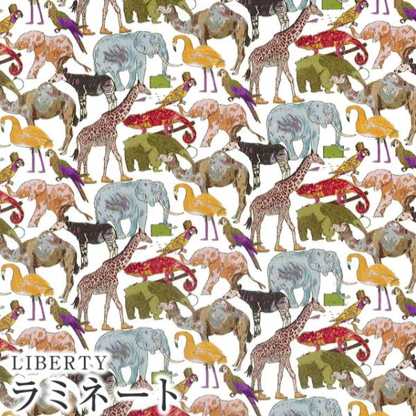 ※最低30cmから10cm単位でカットいたします。価格は、10cmの価格です。ご注文例：30cmの場合⇒350cmの場合⇒51mの場合⇒10と、ご入力ください。※数量「3」以上をご入力ください。※ボタンの大きさは11.5mmです。こちらの商...