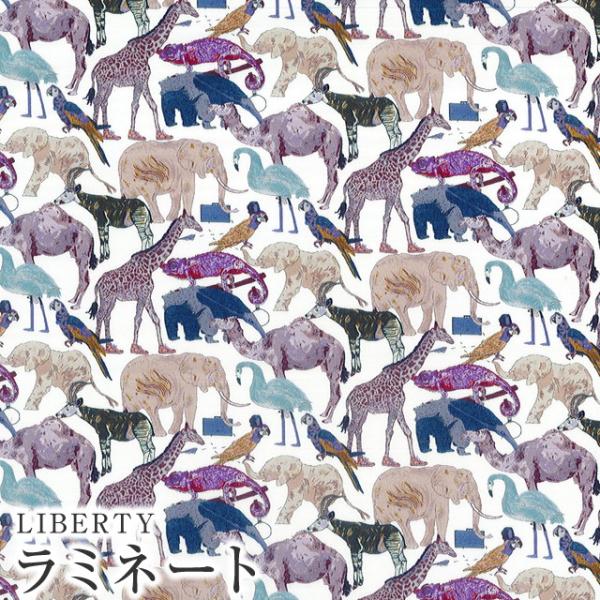 ※最低30cmから10cm単位でカットいたします。価格は、10cmの価格です。ご注文例：30cmの場合⇒350cmの場合⇒51mの場合⇒10と、ご入力ください。※数量「3」以上をご入力ください。※ボタンの大きさは11.5mmです。こちらの商...