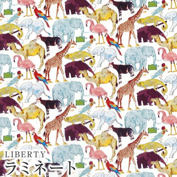 ※最低30cmから10cm単位でカットいたします。価格は、10cmの価格です。ご注文例：30cmの場合⇒350cmの場合⇒51mの場合⇒10と、ご入力ください。※数量「3」以上をご入力ください。※ボタンの大きさは11.5mmです。こちらの商...