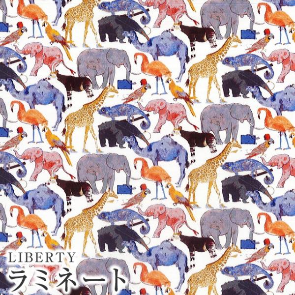 ※最低30cmから10cm単位でカットいたします。価格は、10cmの価格です。ご注文例：30cmの場合⇒350cmの場合⇒51mの場合⇒10と、ご入力ください。※数量「3」以上をご入力ください。※ボタンの大きさは11.5mmです。こちらの商...