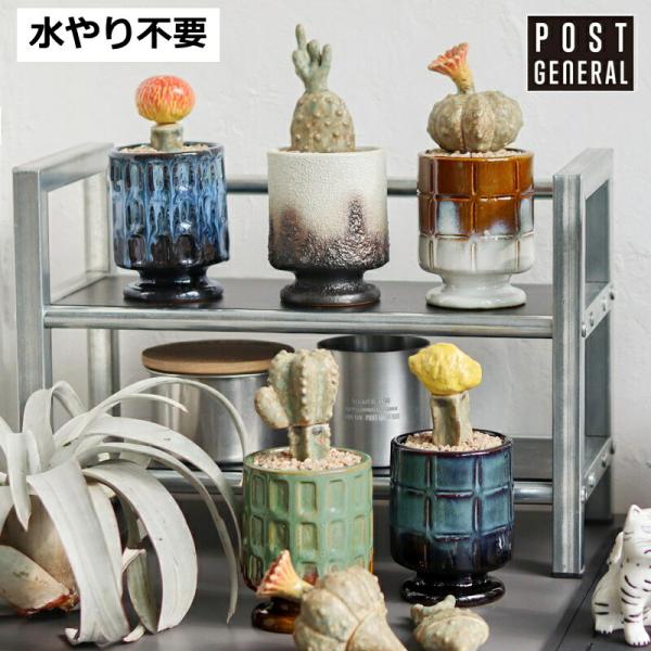 まるで本物の植物のようなインテリアオブジェのご紹介です。・磁器製のサボテンをポットに差し込み、付属の化粧用小石を敷き詰めることで手軽に楽しめる、観葉植物風の磁器キットです。・水やりや日当たりの管理は不要。・ポットにセットされたスチロールフォ...