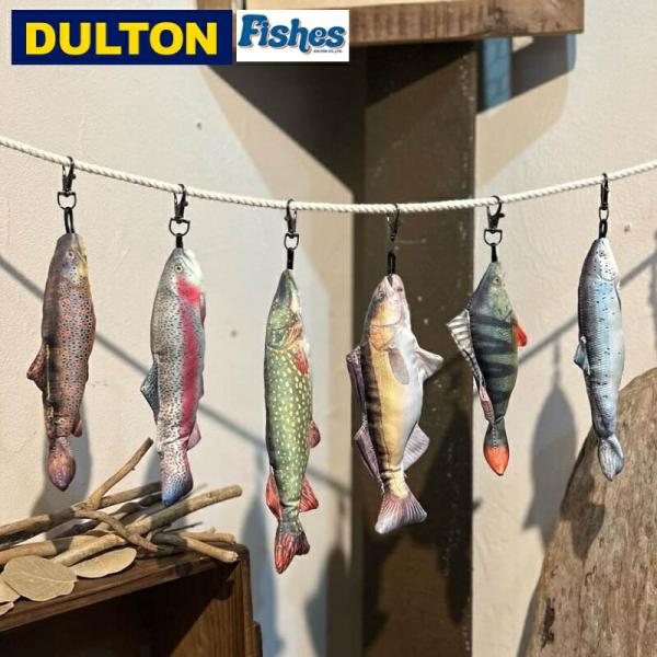 PIKE(パイク)ヨーロッパやシベリア、アメリカ北部など、北半球の経度の高いエリアに生息する淡水魚。鋭い牙があり肉食。大きいものは150cm 25kgにも及びまさに怪魚。身質は淡白な白身。リトル フィッシーズ パイク　LITTLE FISH...