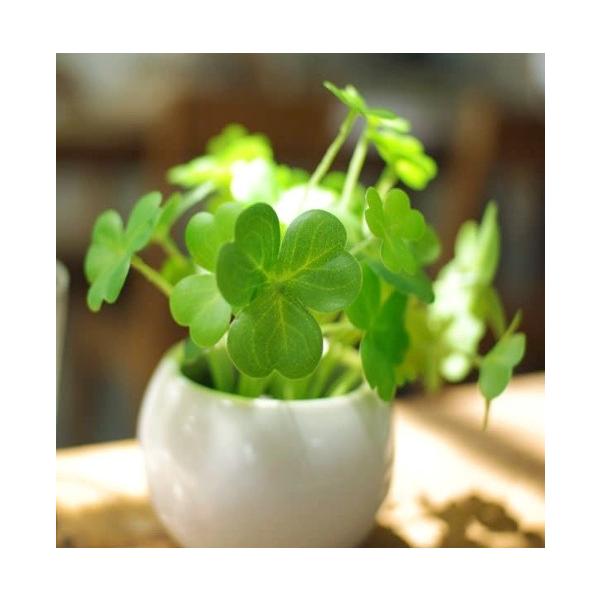 置くだけでハッピーが訪れそうな、眺めているだけでも楽しいクローバー 消臭アーティフィシャルグリーン  Bタイプのご紹介です。■たくさんある葉っぱの中のどこかに、1枚だけ四ツ葉のクローバーが隠されてます。■サイズ：約 φ14×高さ15cm■素...