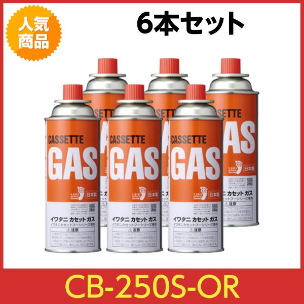 ・カセットガス6本セット・イワタニ商品の各種コンロ、炉ばた大将、炎たこ、ビストロの達人、焼き上手さん、バーナー、アウトドア商品等様々なシーンで使用可能・災害などの非常用の防災グッズとしても使用ガス：LPG（液化ブタン）内容量：250gセット...