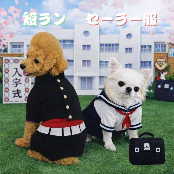 学校が舞台の“なりきりコーデ”が完成！レトロでちょっとヤンチャな短ランと、王道かわいいセーラー服をモチーフにした、愛犬用コスチュームです。短ランは、背中に並ぶボタンがアクセント。セーラー服は、襟元のラインと赤いスカーフがポイントで、写真映え...