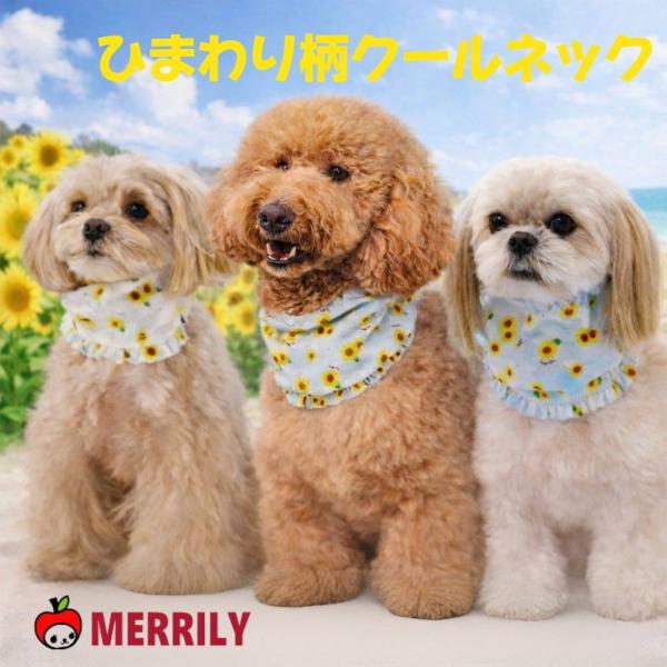 暑い季節のお散歩やお出かけにぴったりな、ひんやり快適な犬用クールネックです。和柄で人気の唐草模様デザインで、涼しさとおしゃれを両立した夏用アイテム。首元をやさしく冷やし、暑さ対策や熱中症対策として活躍します。首周りはひもで調整可能です。保冷...