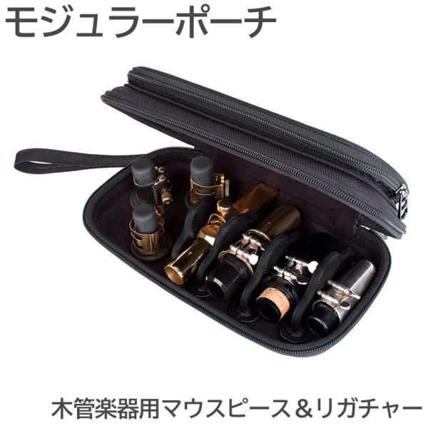 プロ、アマチュア問わず数多くのアーティストに愛用されてきたプロテック。スタイリッシュなデザインと、抜群の強度、収納性能の高さが特長です。素材やデザインの展開が豊富なため、マウスピースの保護だけでなく、用途に合わせてお好みのポーチをお選びいた...