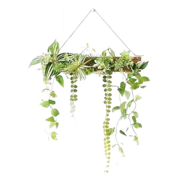 Color:壁掛け 木 MedianField 【 ウォールグリーン 壁掛け フェイク 50cm×40cm フック付き 】 フェイクグリーン 観葉植物 造花 おしゃれ 人工観葉植物 エアープランツ 室内 大型 フレーム インテリア アンティ...