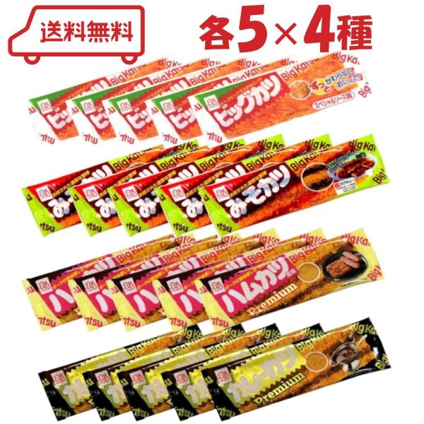 駄菓子の定番ビッグカツの4種類アソートです。食べ比べを楽しんだり、おやつ・おつまみにおすすめ！【アソート】