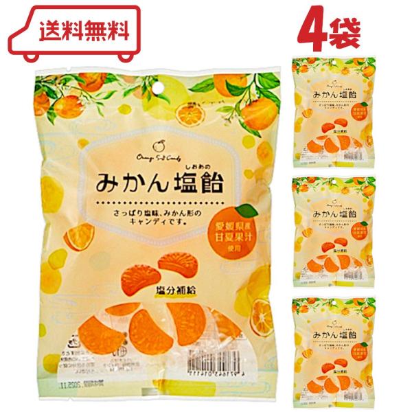 塩分補給・クエン酸補給にぴったり！熱中症対策にも！愛媛県産甘夏果汁を使用した、みかん味の塩飴