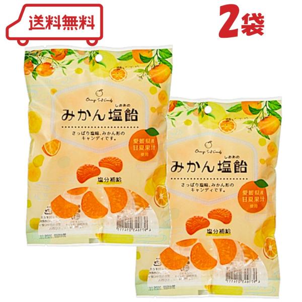 塩分補給・クエン酸補給にぴったり！熱中症対策にも！愛媛県産甘夏果汁を使用した、みかん味の塩飴