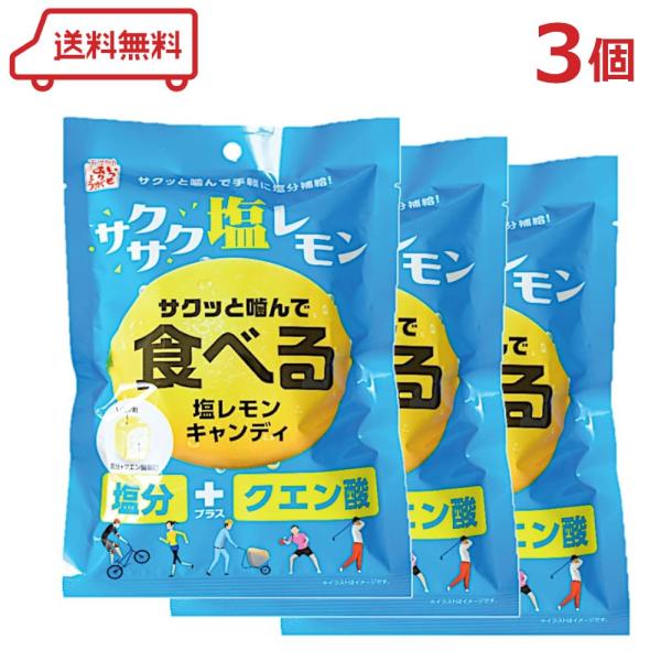 塩分＋クエン酸で熱さ対策！ スポーツはもちろん、炎天下の中お仕事される方など暑さ対策にぴったり ( 送料無料 迅速配送 詰め合わせ 詰合わせ 詰合せ セット アソート 個包装 塩 熱中症対策 熱中症 熱中症予防 塩分チャージ 現場 塩分補給...