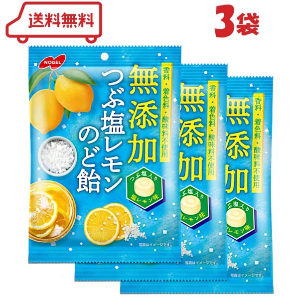 キャンデーの中につぶ塩とレモンが混ざり合う、うまじょっぱい味わいと、春にも夏にも食べやすい塩レモン味のキャンデーです。無添加の塩分チャージもできるのど飴です。( 1000円ポッキリ 送料無料 迅速配送 詰め合わせ のどあめ おいしい 配布用...