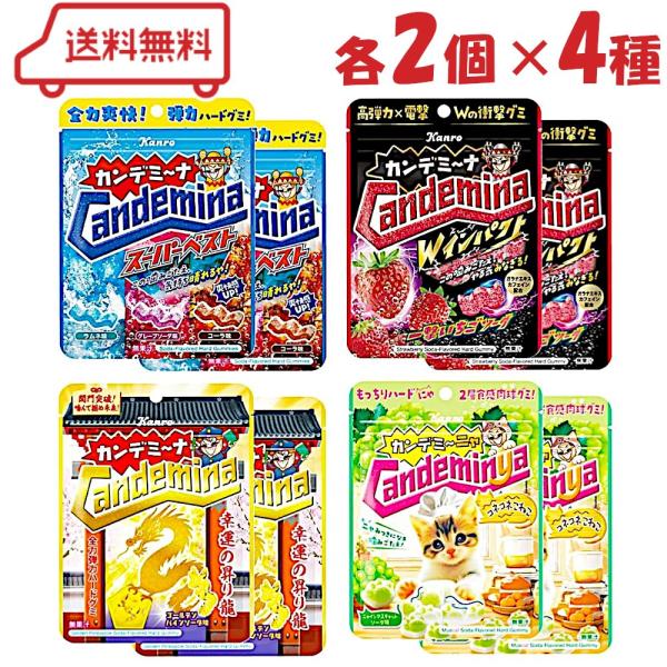 ハード食感のグミ4種セットです。( スーパーベスト / Wインパクト 一撃いちごソーダ / 幸運の昇り龍 ゴールデンパインソーダ味 / カンデミーニャグミコネコネこねこ )( 送料無料 迅速配送 詰合わせ 詰合せ 詰合 つめあわせ 詰め合わ...